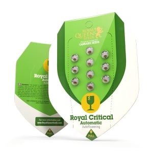 Acheter graines de cannabis Royal Critical Auto - Royal Queen Seeds