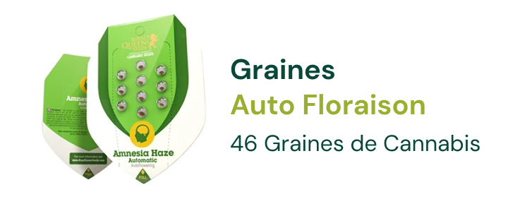 Acheter graines de cannabis de haute qualité | Royal Queen Seeds