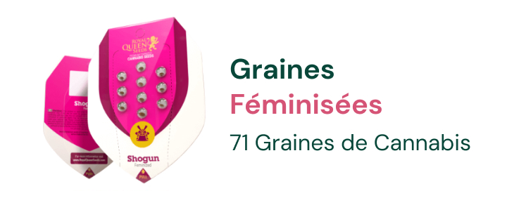 Acheter graines de cannabis de haute qualité | Royal Queen Seeds