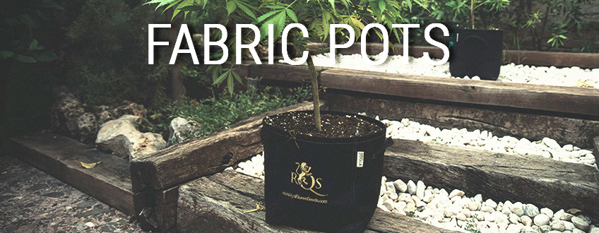 Les Air-Pots Et Smart Pots Augmentent-Ils Le Rendement Du Cannabis ...